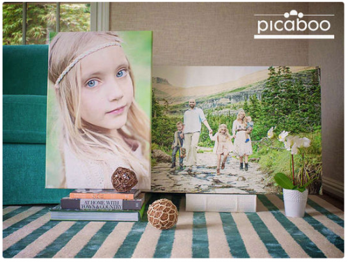 Picaboo Archives - Freebies2Deals